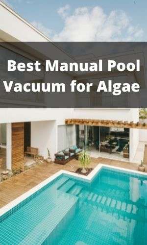 Best Manual Pool Vacuum for Algae [Review & Buying guide] - Experts in ...
